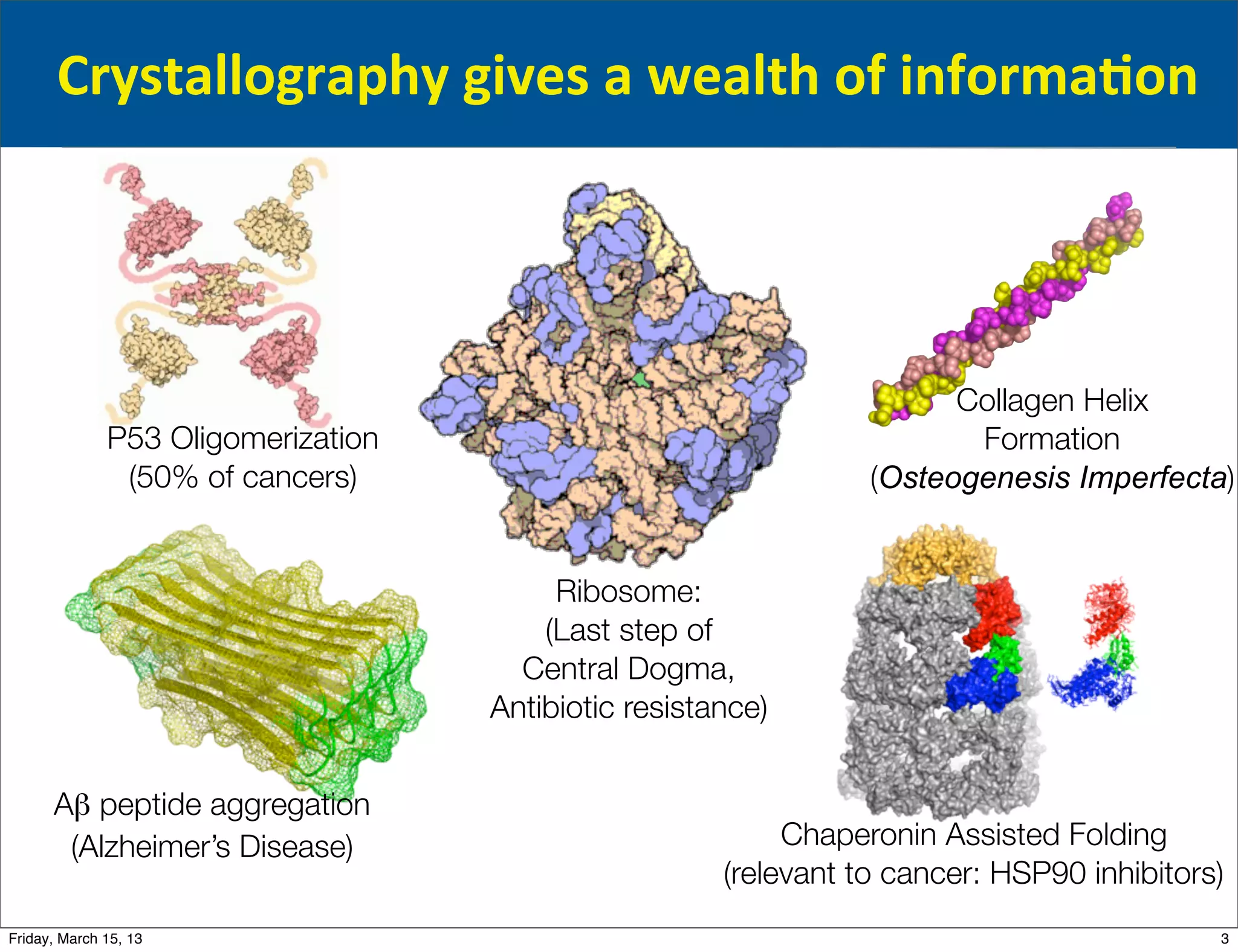 BIOS 203 Lecture 6: Some surprises in the biophysics of protein ...