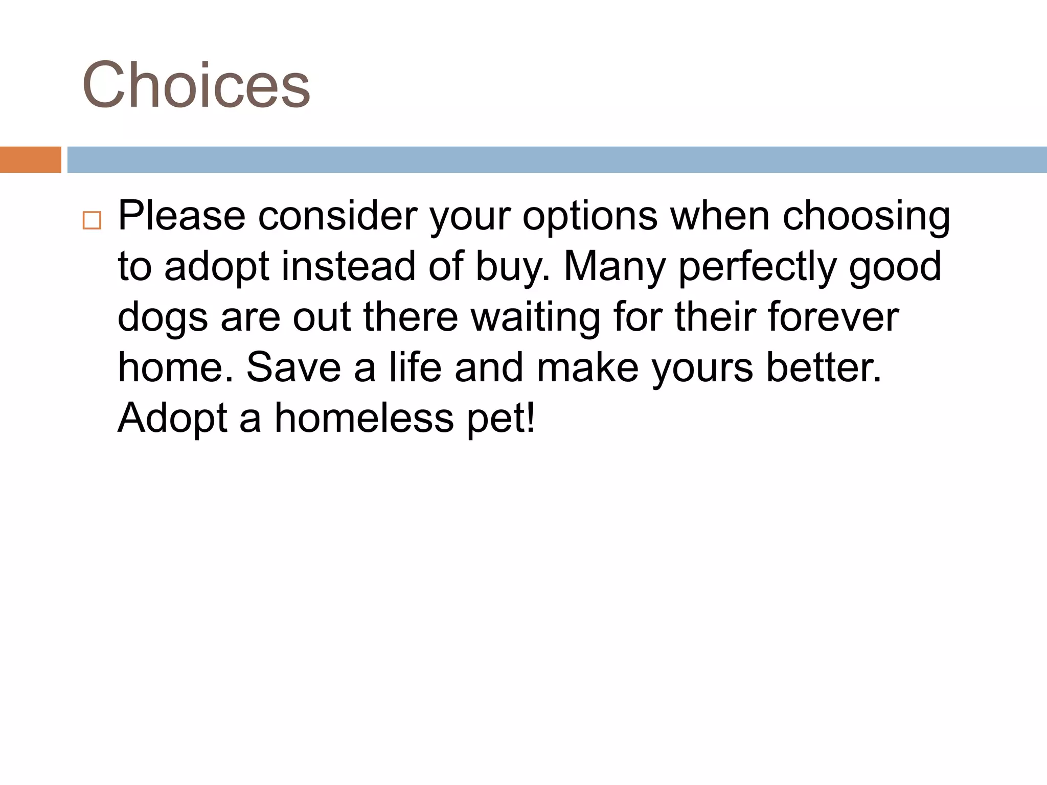 Stanis jennifer powerpoint_project | PPTX