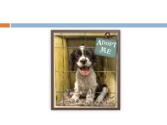 Stanis jennifer powerpoint_project | PPTX