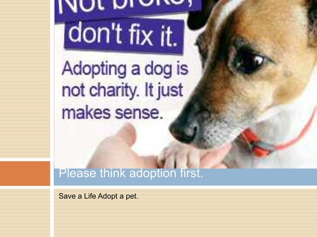 Stanis jennifer powerpoint_project | PPTX