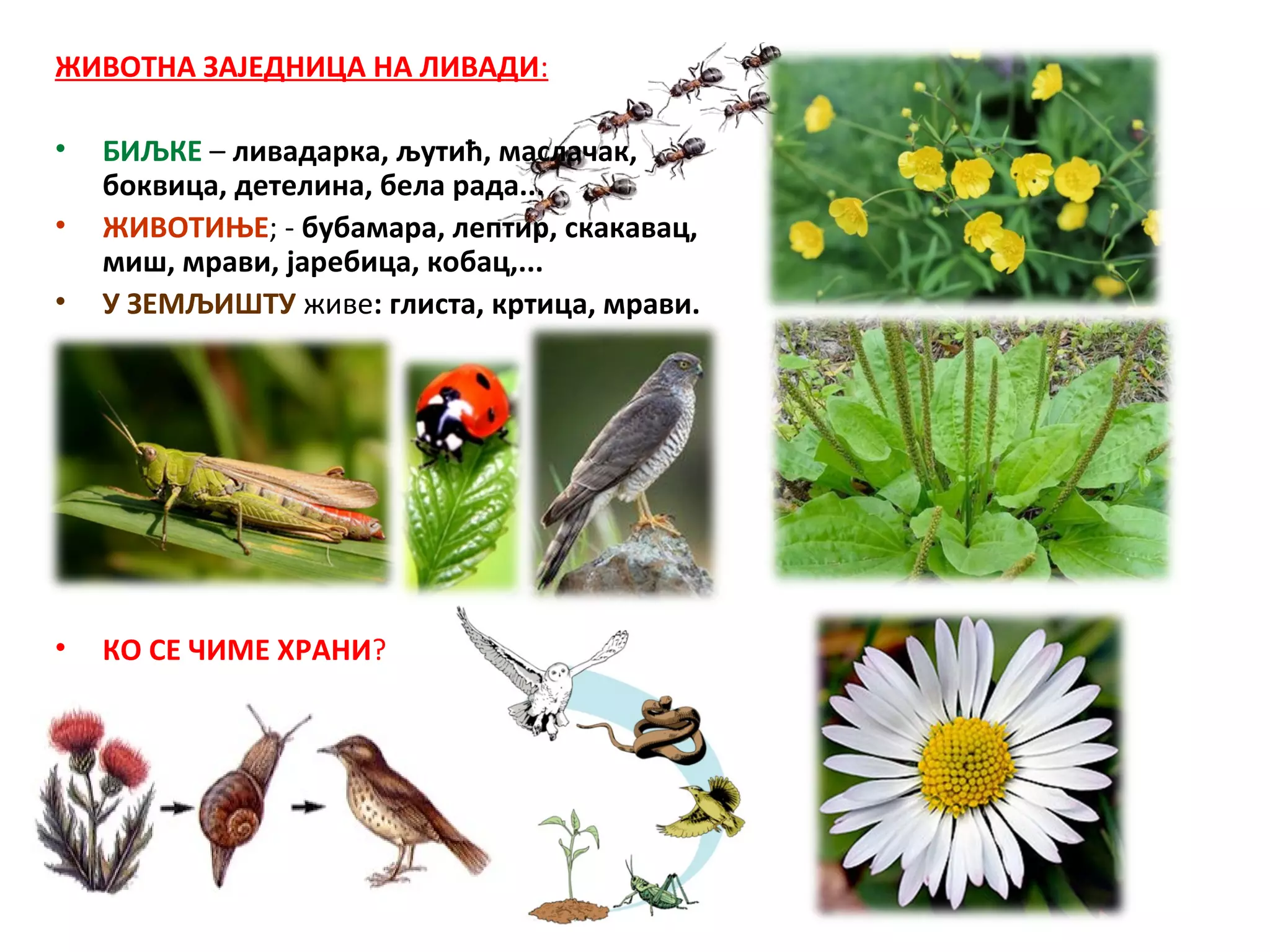 Staništa i životne zajednice | PPS