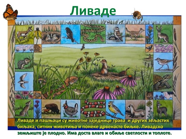 Staništa i životne zajednice | PPS