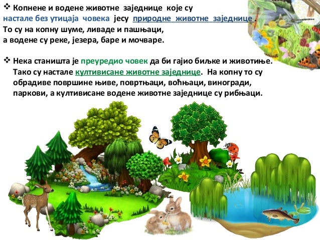 Staništa i životne zajednice