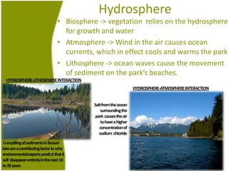 Stanley park case study | PPTX