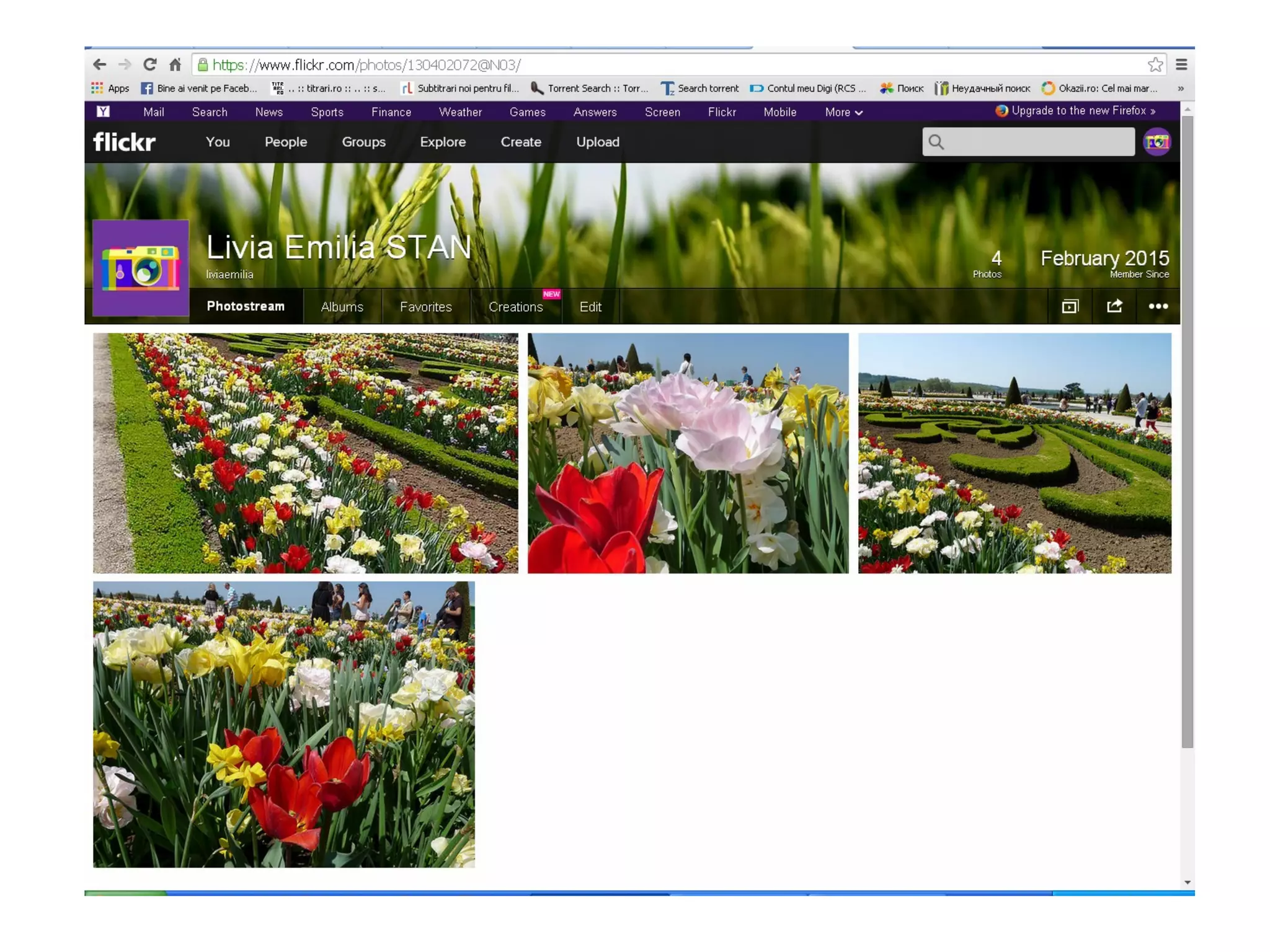 Stan livia emilia flickr | PPT
