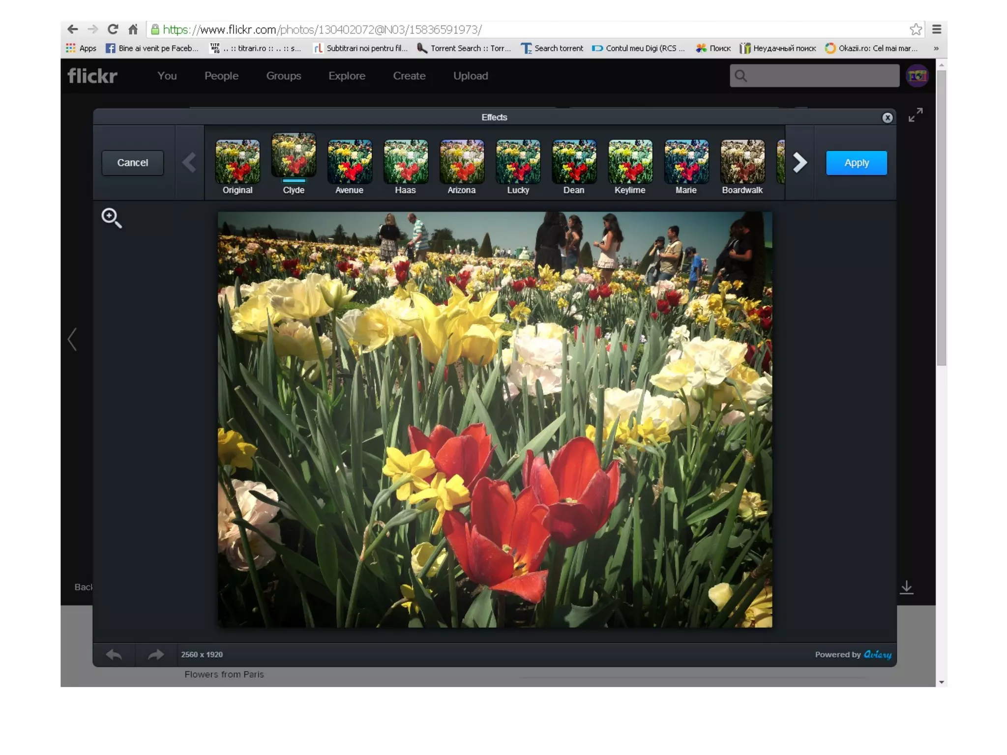 Stan livia emilia flickr | PPT