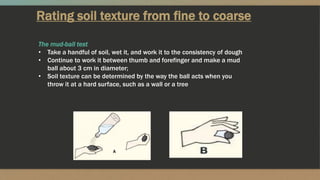 SOIL TEXTURE, TEXTURAL CLASSES ,MECHANICAL ANALYSIS | PPTX