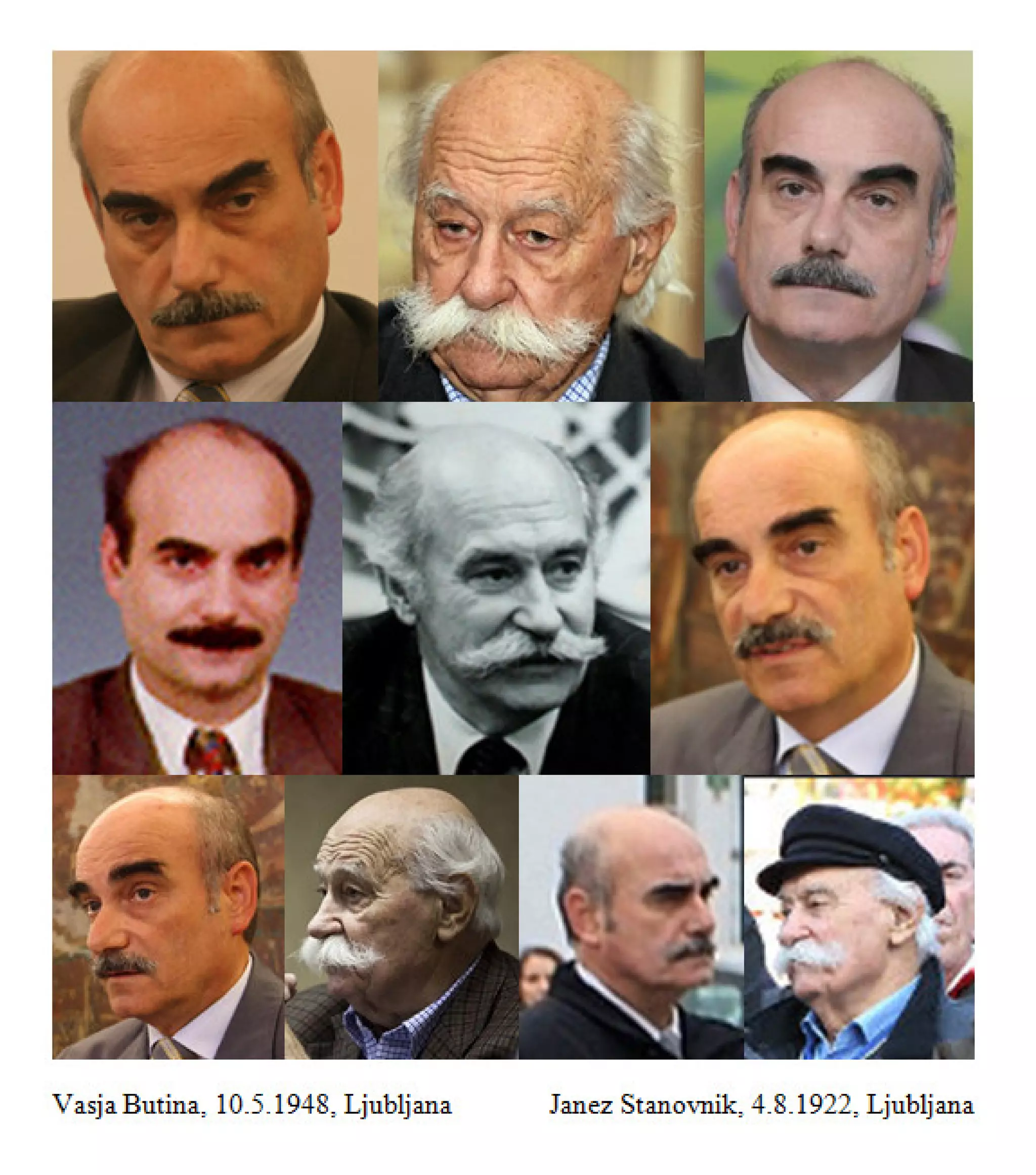 Vasja Butina - Janez Stanovnik | PDF