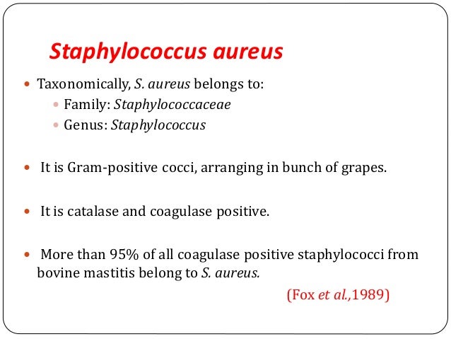 Staphylococcus aureus Virulence Factores