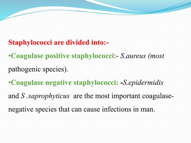 staph.pptx | Infectious Diseases | Diseases and Conditions