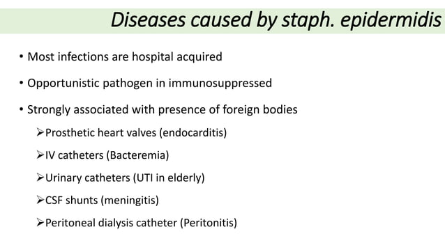 Staph epidermidis and saprophyticus | PPTX