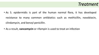 Staph epidermidis and saprophyticus | PPTX