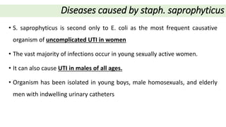 Staph epidermidis and saprophyticus | PPTX