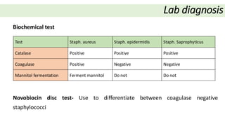 Staph epidermidis and saprophyticus | PPTX