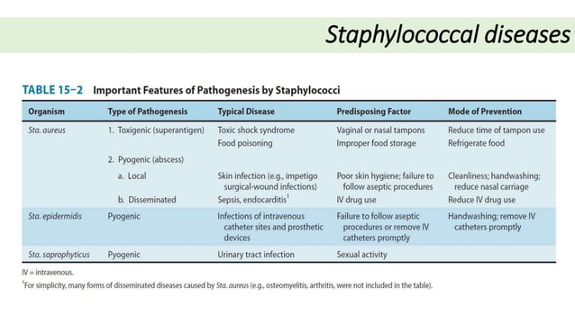 Staph epidermidis and saprophyticus | PPTX
