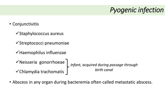 Staph epidermidis and saprophyticus | PPTX