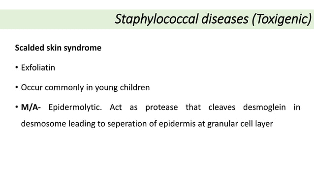 Staph epidermidis and saprophyticus | PPTX