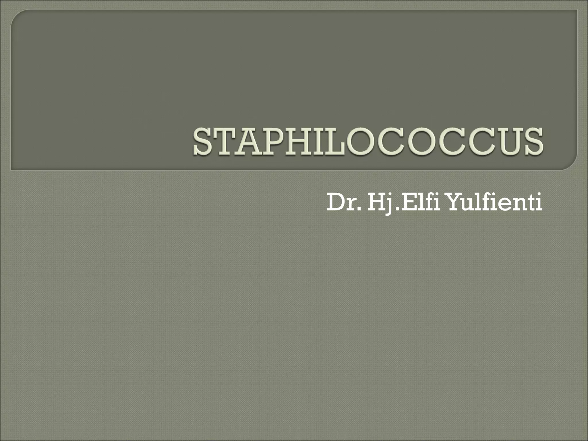 Staphilococcus | PPT