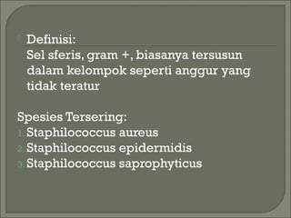 Staphilococcus | PPT