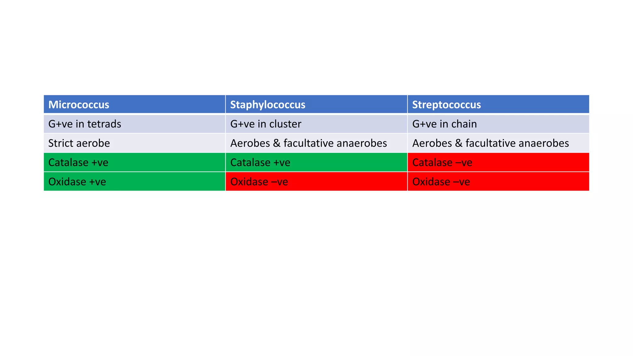 staphylococcus streptococcus revision notes microbiology | PPTX