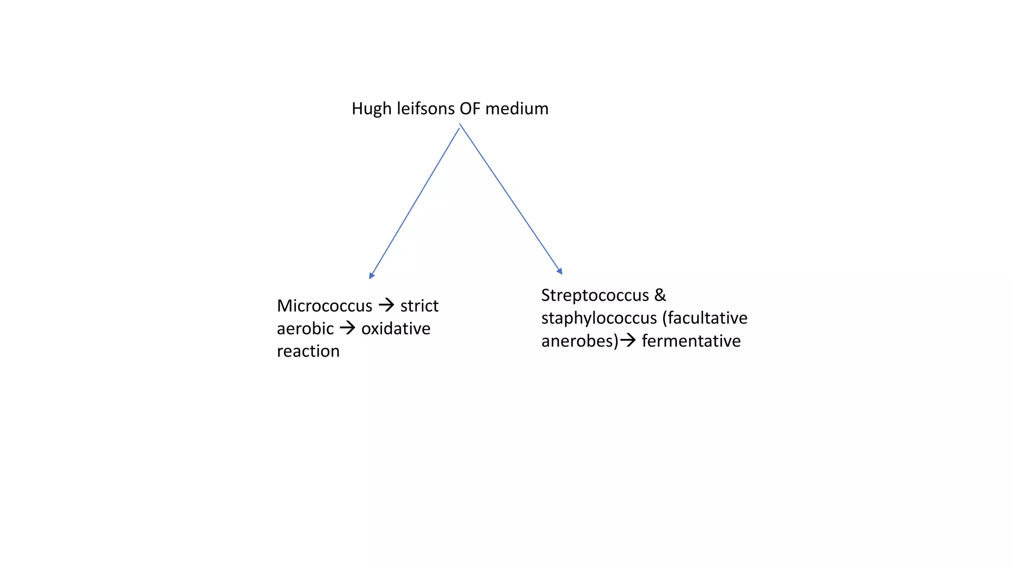 staphylococcus streptococcus revision notes microbiology | PPTX