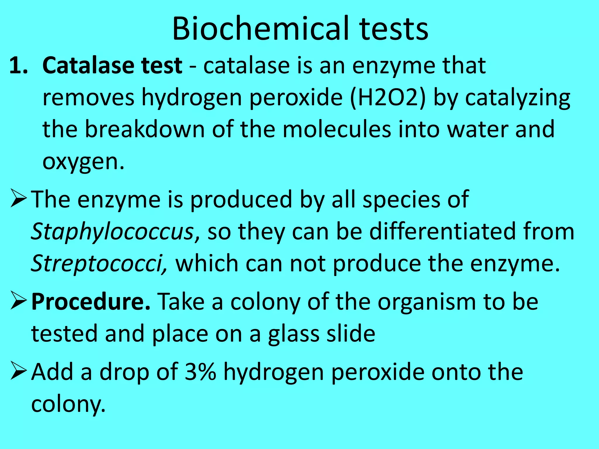 Staphylococcus Spp | PPTX