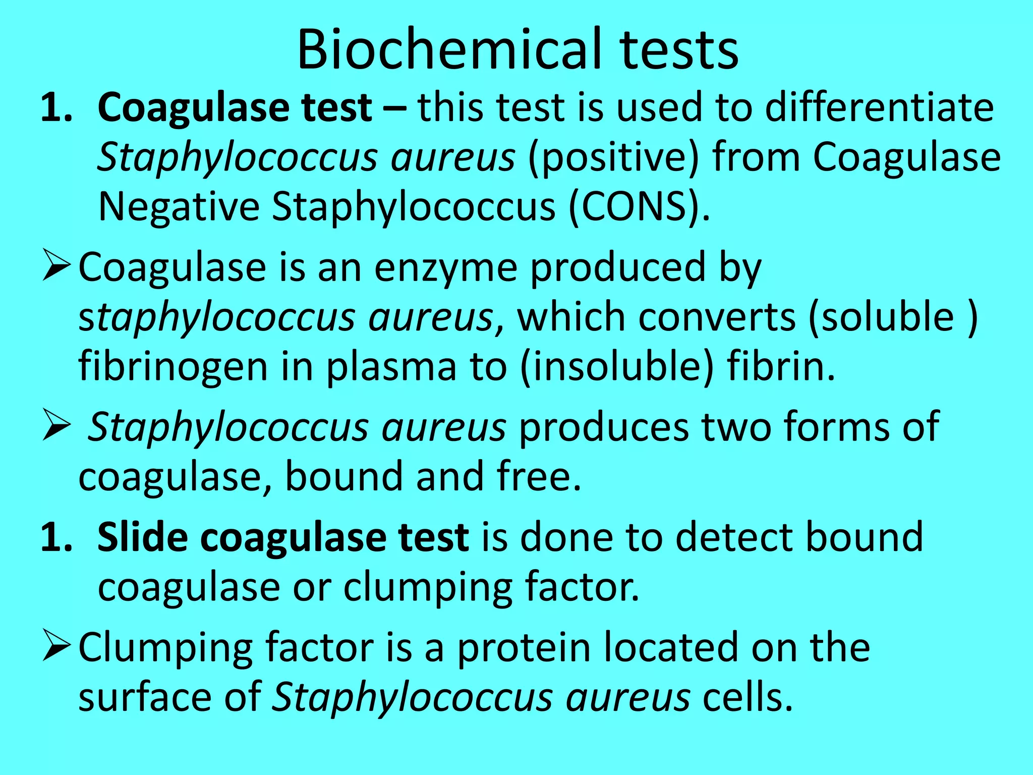 Staphylococcus Spp | PPTX | Blood Disorders | Diseases and Conditions