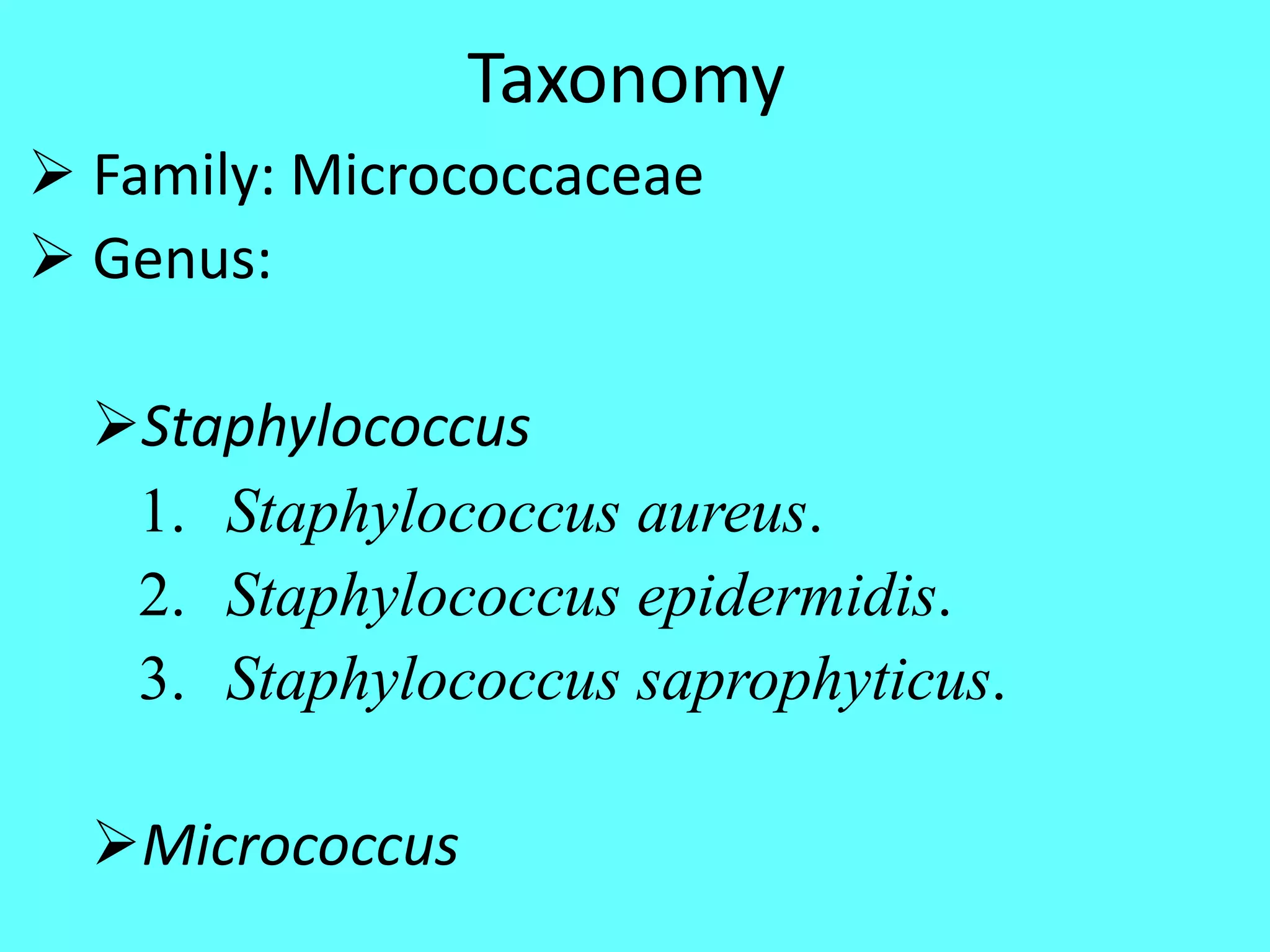 Staphylococcus Spp | PPTX