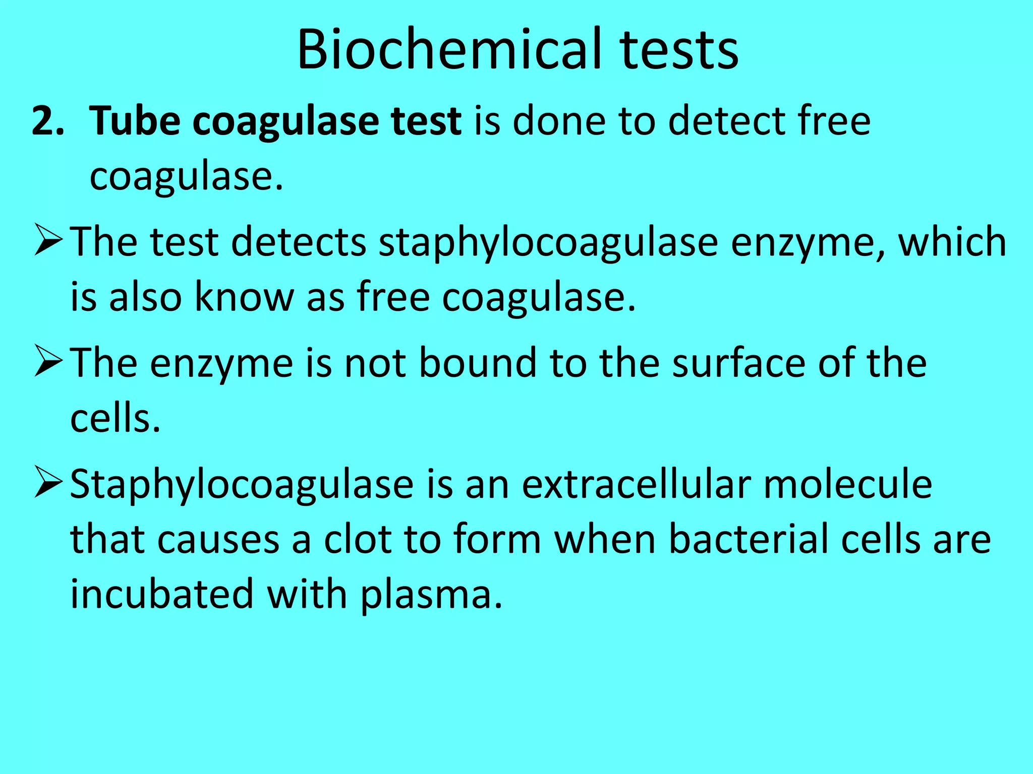 Staphylococcus Spp | PPTX