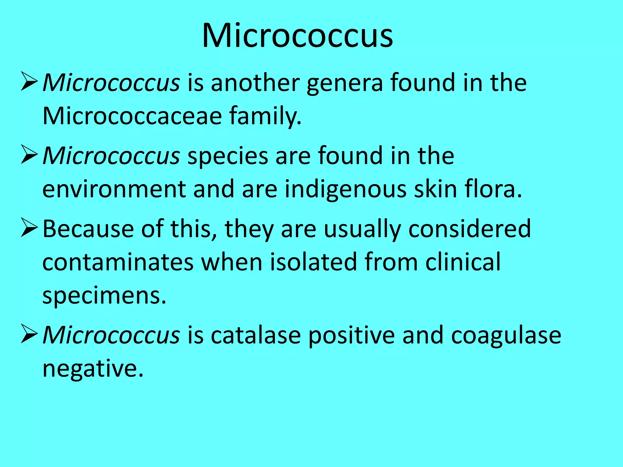 Staphylococcus Spp | PPTX