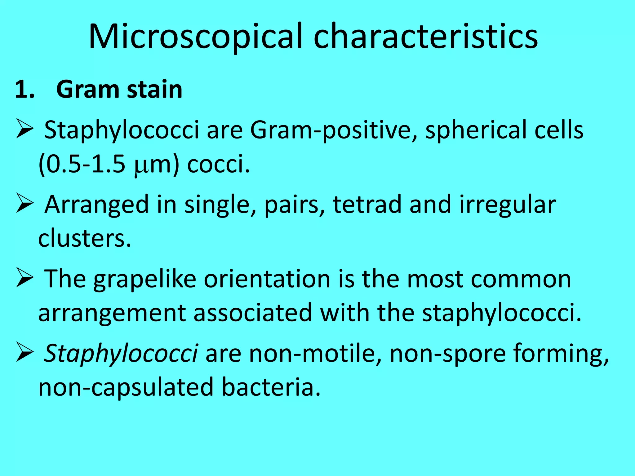 Staphylococcus Spp | PPTX