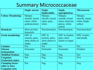 Staphylococcus Spp | PPTX