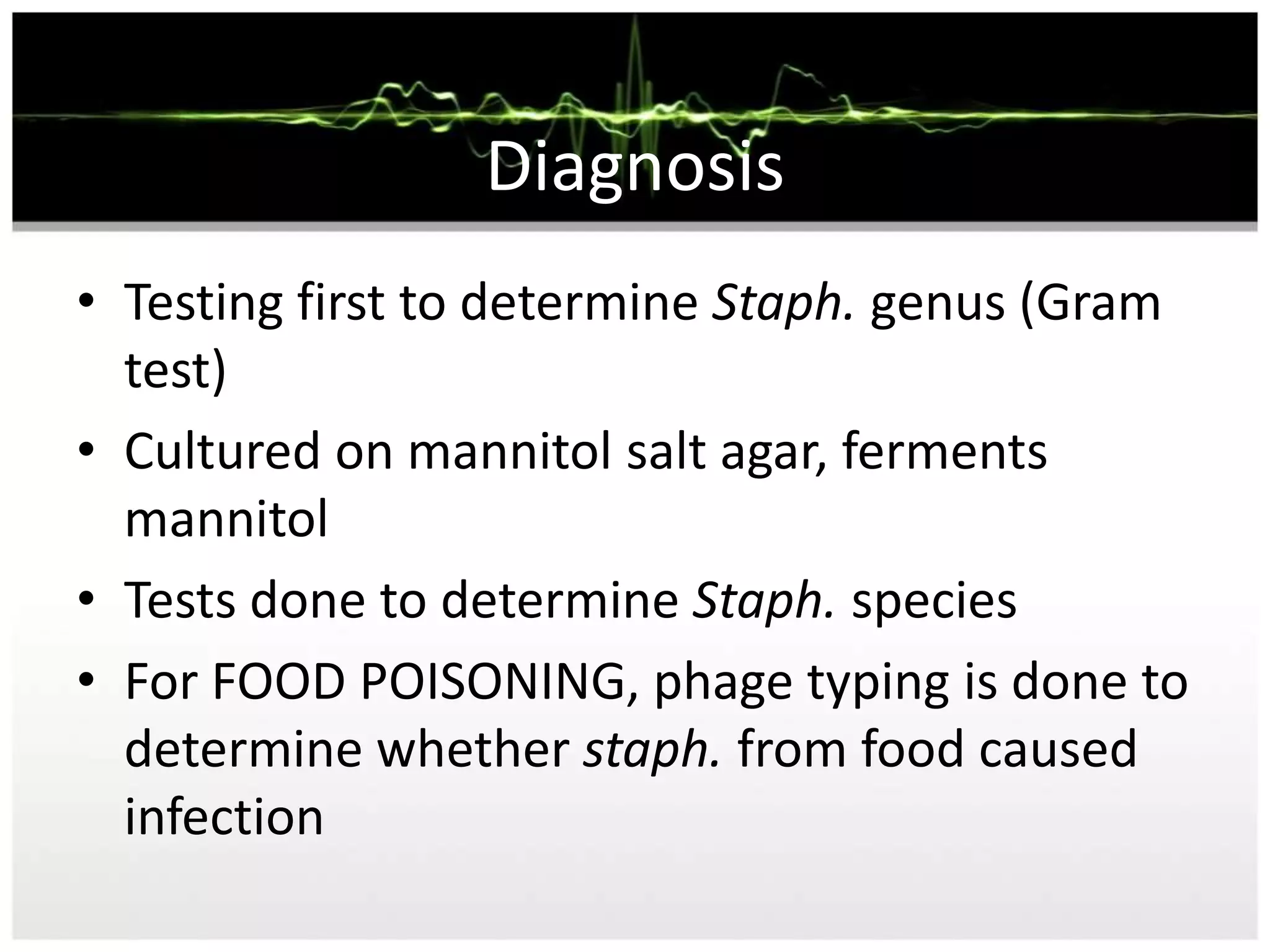 Staphyloccocos aureus | PPTX