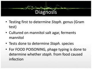 Staphyloccocos aureus | PPTX