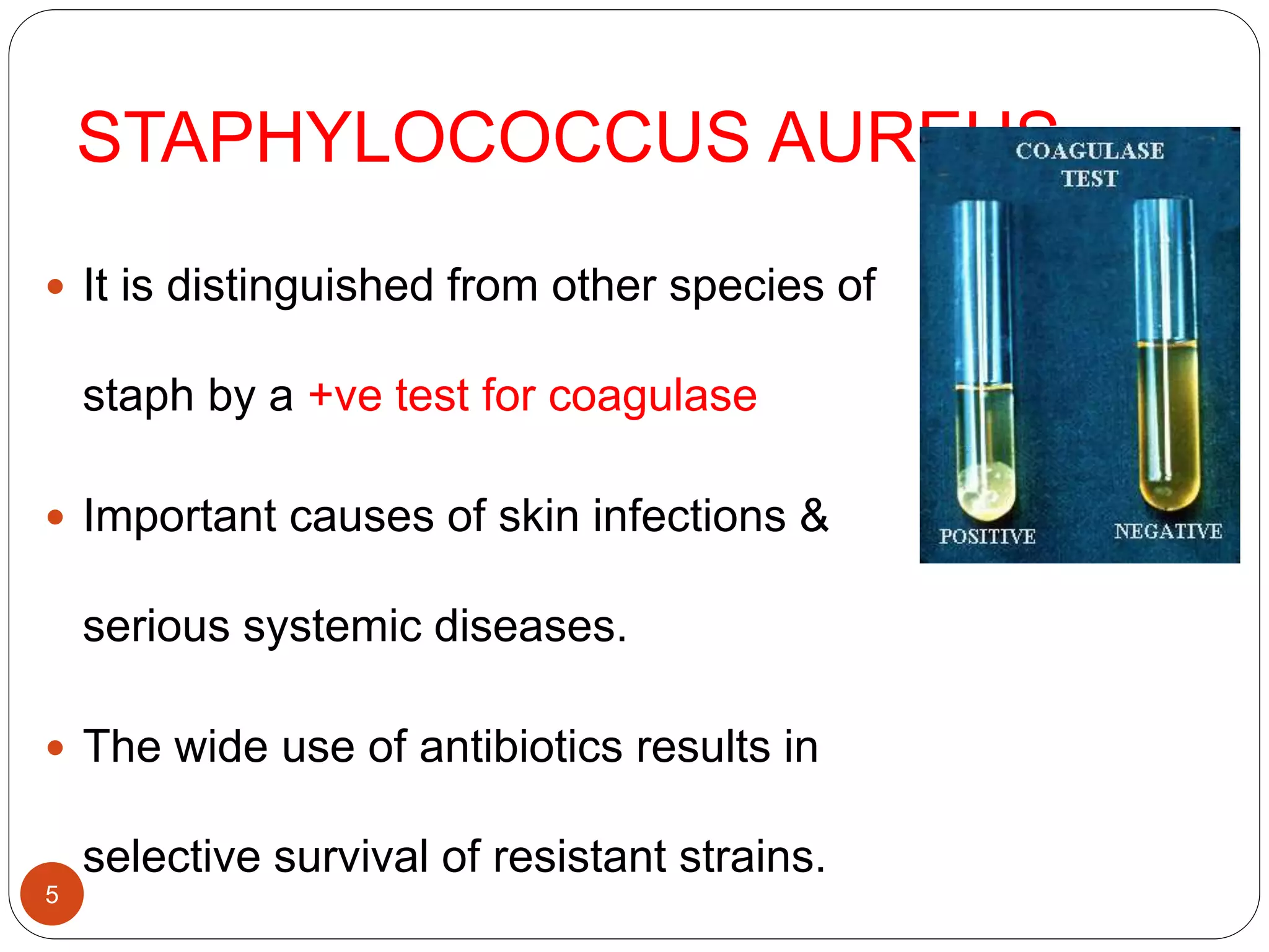 Staphylococcal And Streptococcal Skin Infections Ppt