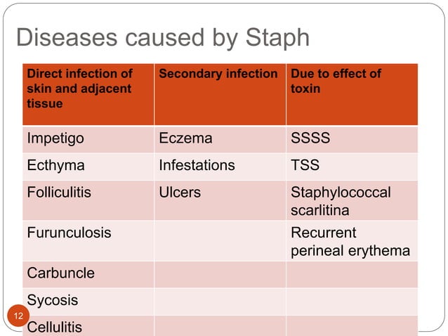 Staphylococcal & streptococcal skin infections | PPT