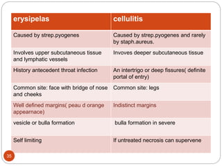 Strep Vs Staph Cellulitis
