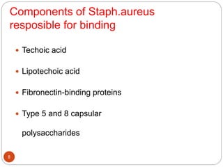 Staphylococcal Whitlow