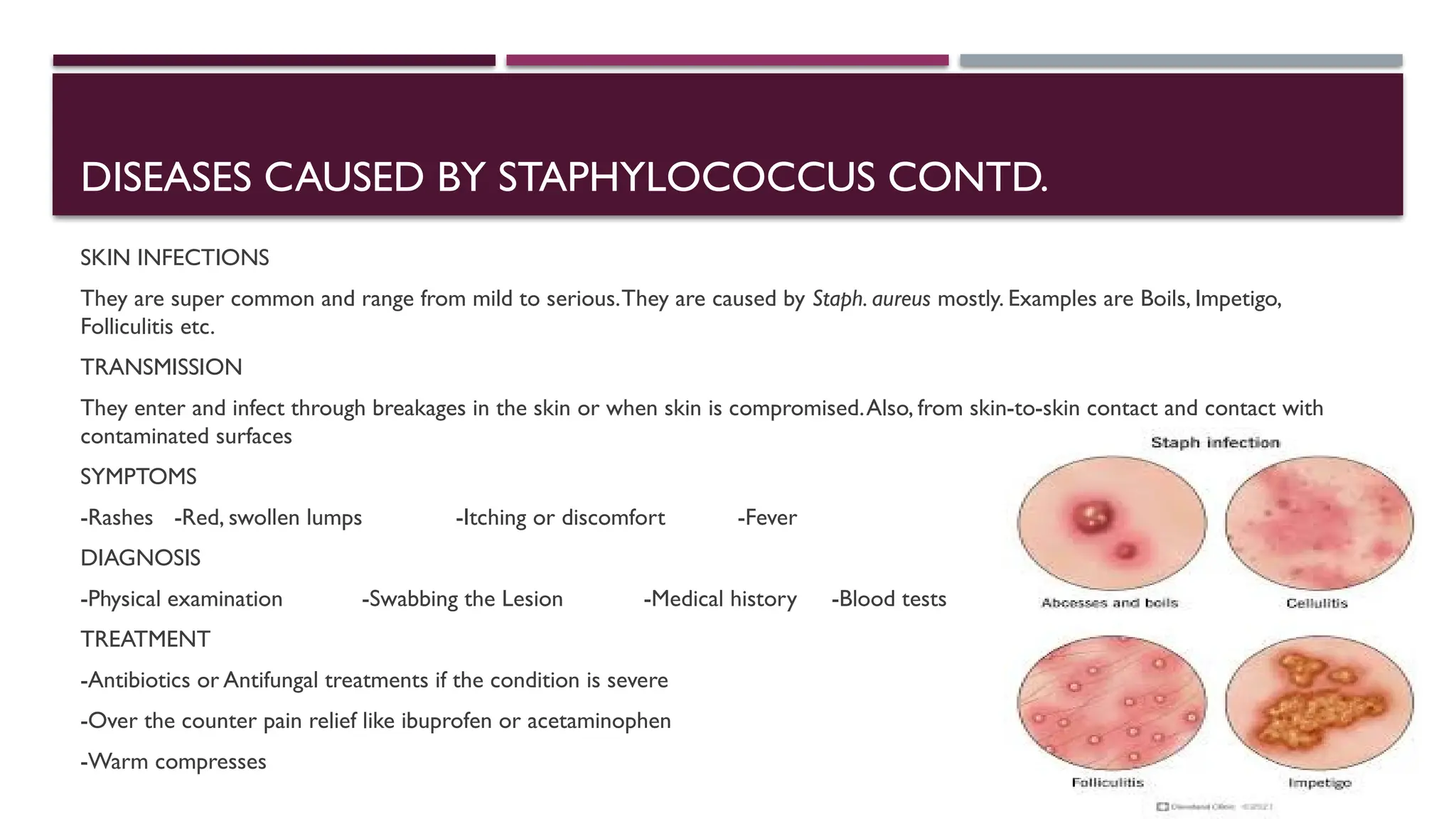 A presentation on STAPHYLOCOCCAL DISEASES.pptx