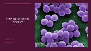 A presentation on STAPHYLOCOCCAL DISEASES.pptx