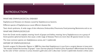 A presentation on STAPHYLOCOCCAL DISEASES.pptx | Infectious Diseases ...