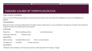 A presentation on STAPHYLOCOCCAL DISEASES.pptx | Infectious Diseases | Diseases and Conditions