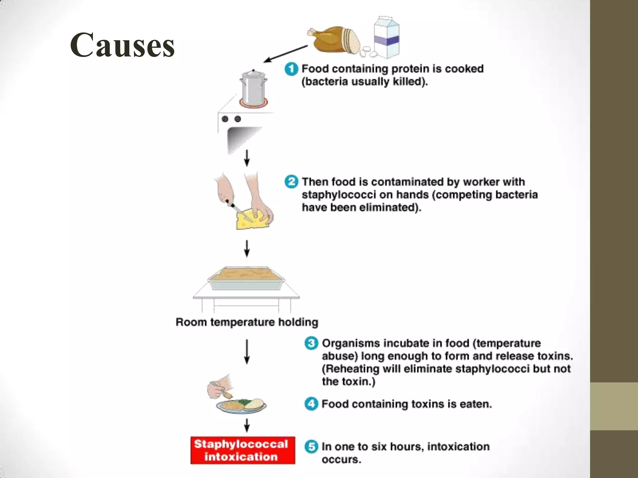 Staphylococcal food poisoning | PPTX