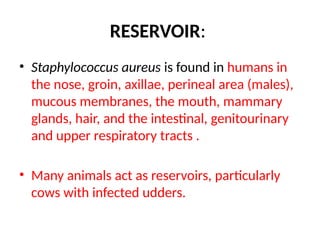 staphylococcal infectionfggghghgjhhj.pptx