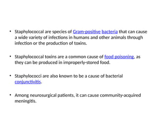 staphylococcal infectionfggghghgjhhj.pptx