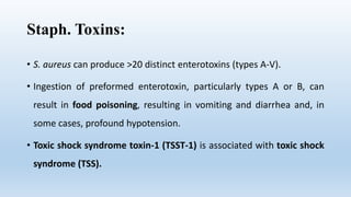Staphylococcal infections in pediatrics(master and MD).pptx
