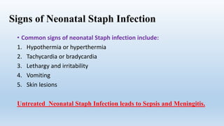 Staphylococcal infections in pediatrics(master and MD).pptx