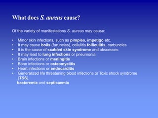 Staphylococcal skin infections by dr, Hari dagal | PPTX