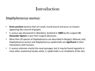 Staphylococcal Skin Infections | PPTX