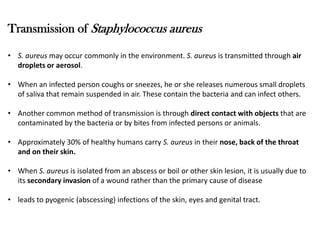 Staphylococcal Skin Infections | PPTX